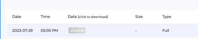 Creating Backups - Managed WordPress Hosting Platform